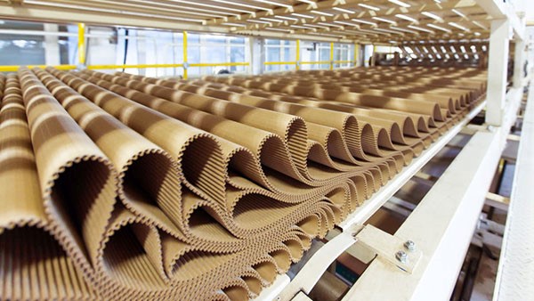 Oluklu Mukavva Levha Nasıl Üretilir ? | Simge Oluklu Mukavva ve Ambalaj